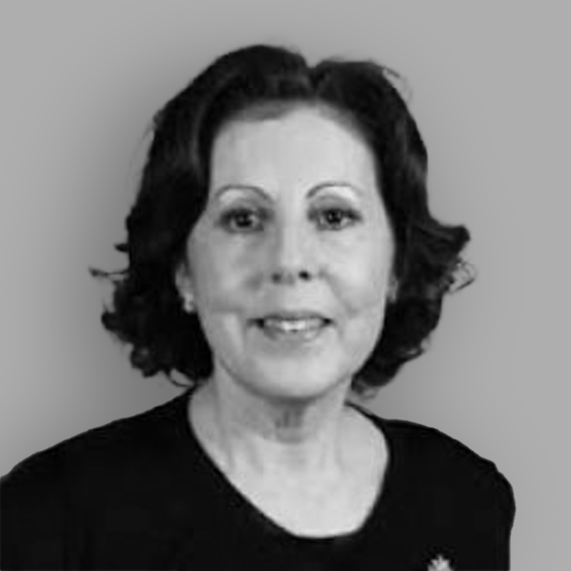 2024 European Elections Manifesto - SHD Coalition |SHD Coalition